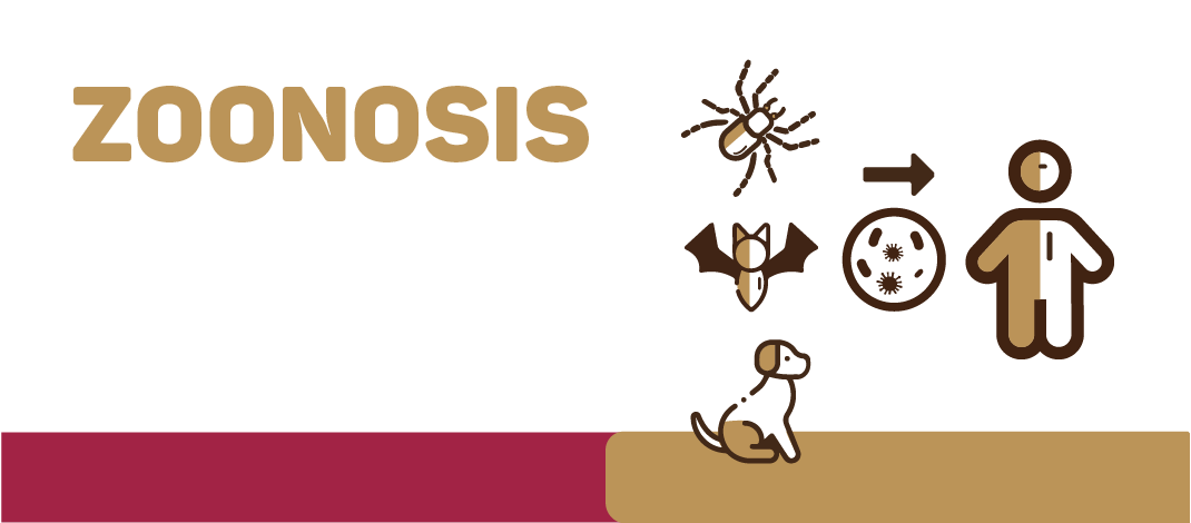 Zoonosis