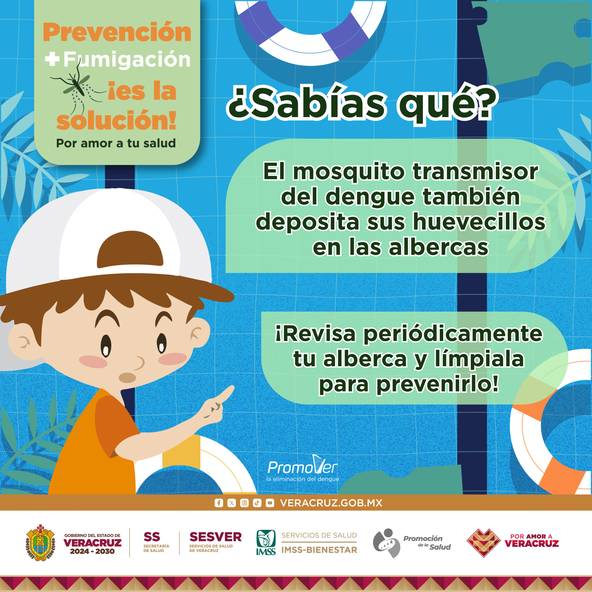 Dengue – Salud Pública
