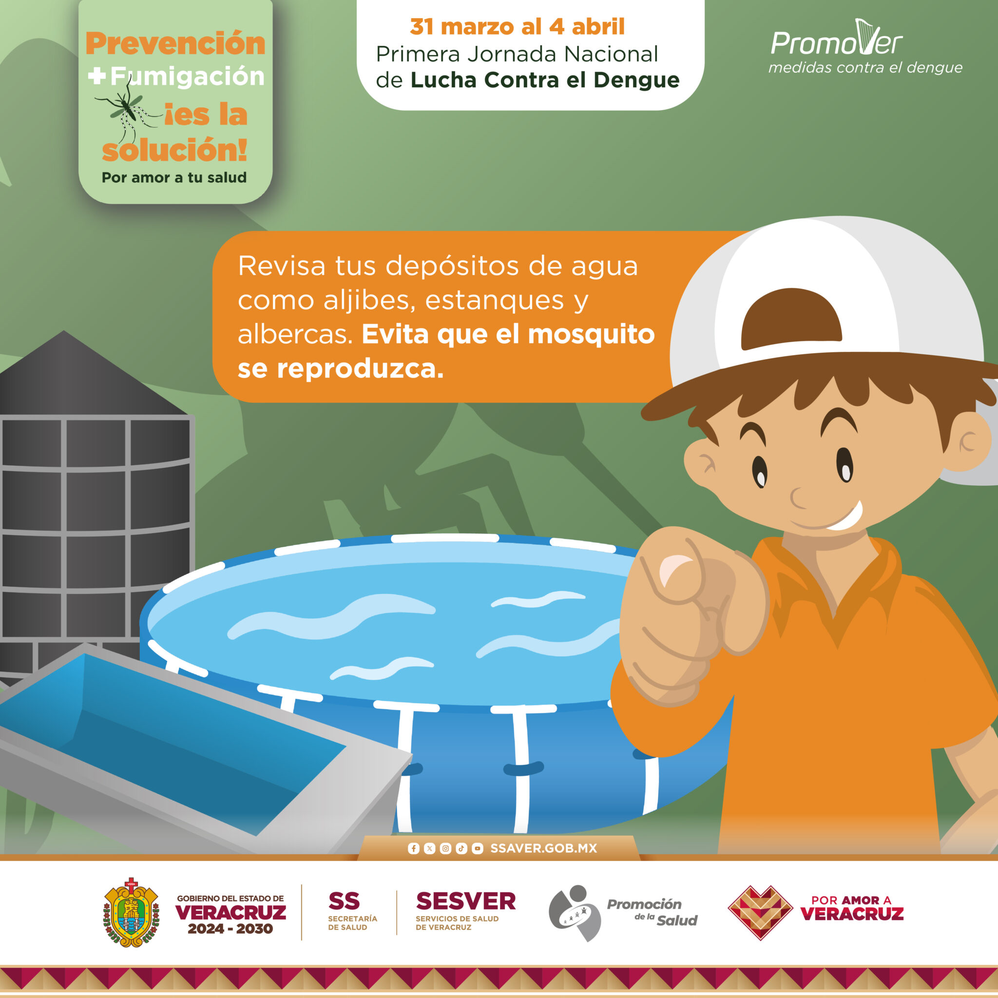 Dengue – Salud Pública