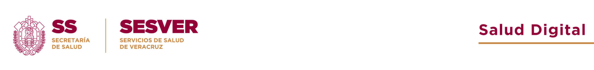 Instituto Veracruzano de Salud Mental (IVSM) – Salud Digital