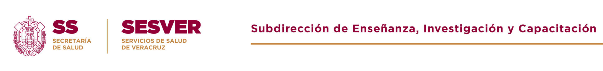 Directorio Subdirección de Enseñanza – SEIC