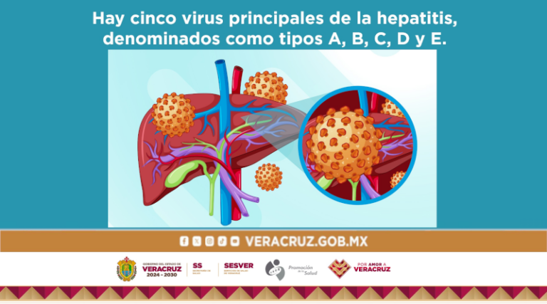 Tipos de Hepatitis – Secretaría de Salud de Veracruz