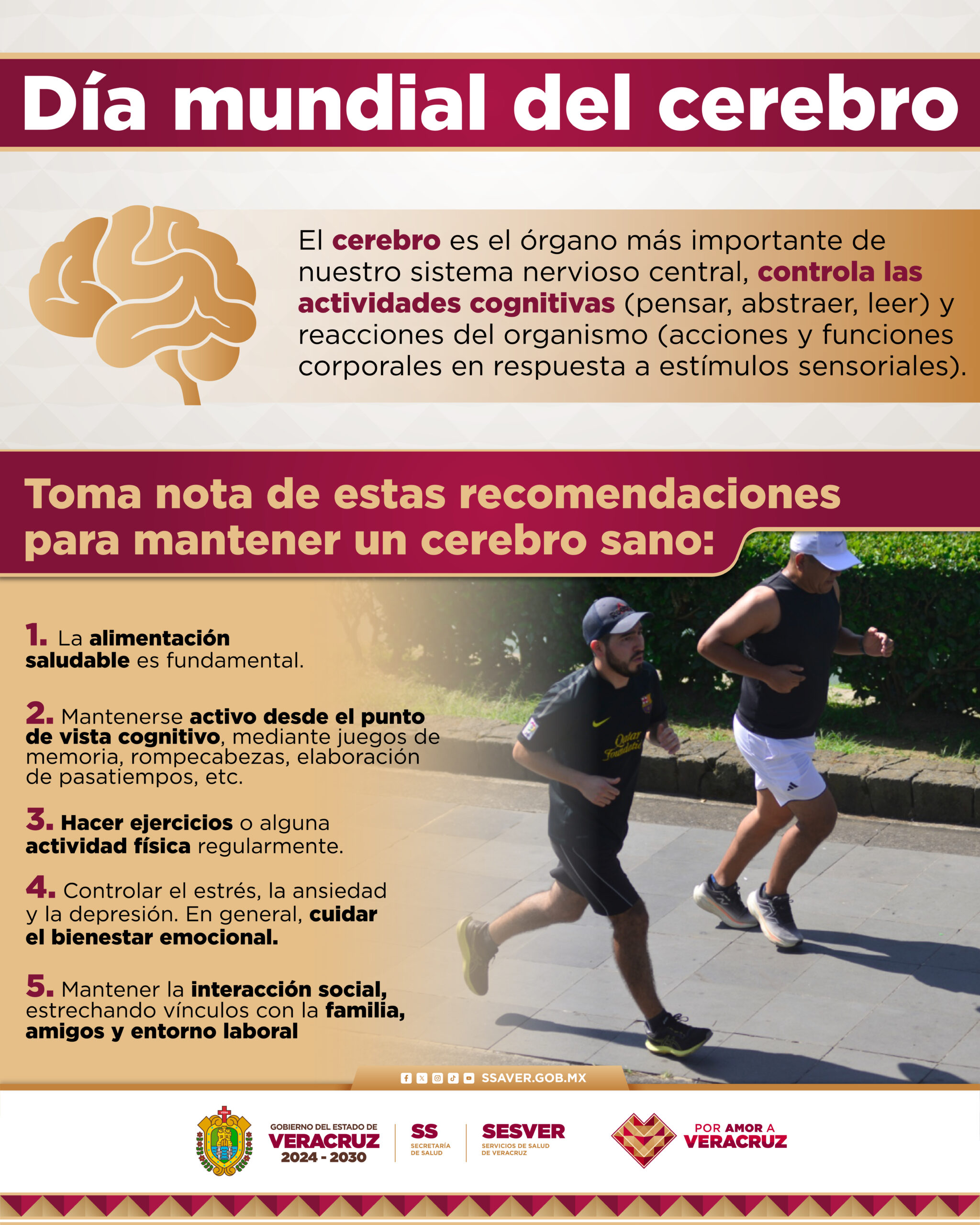Día Mundial del Cerebro – Secretaría de Salud de Veracruz