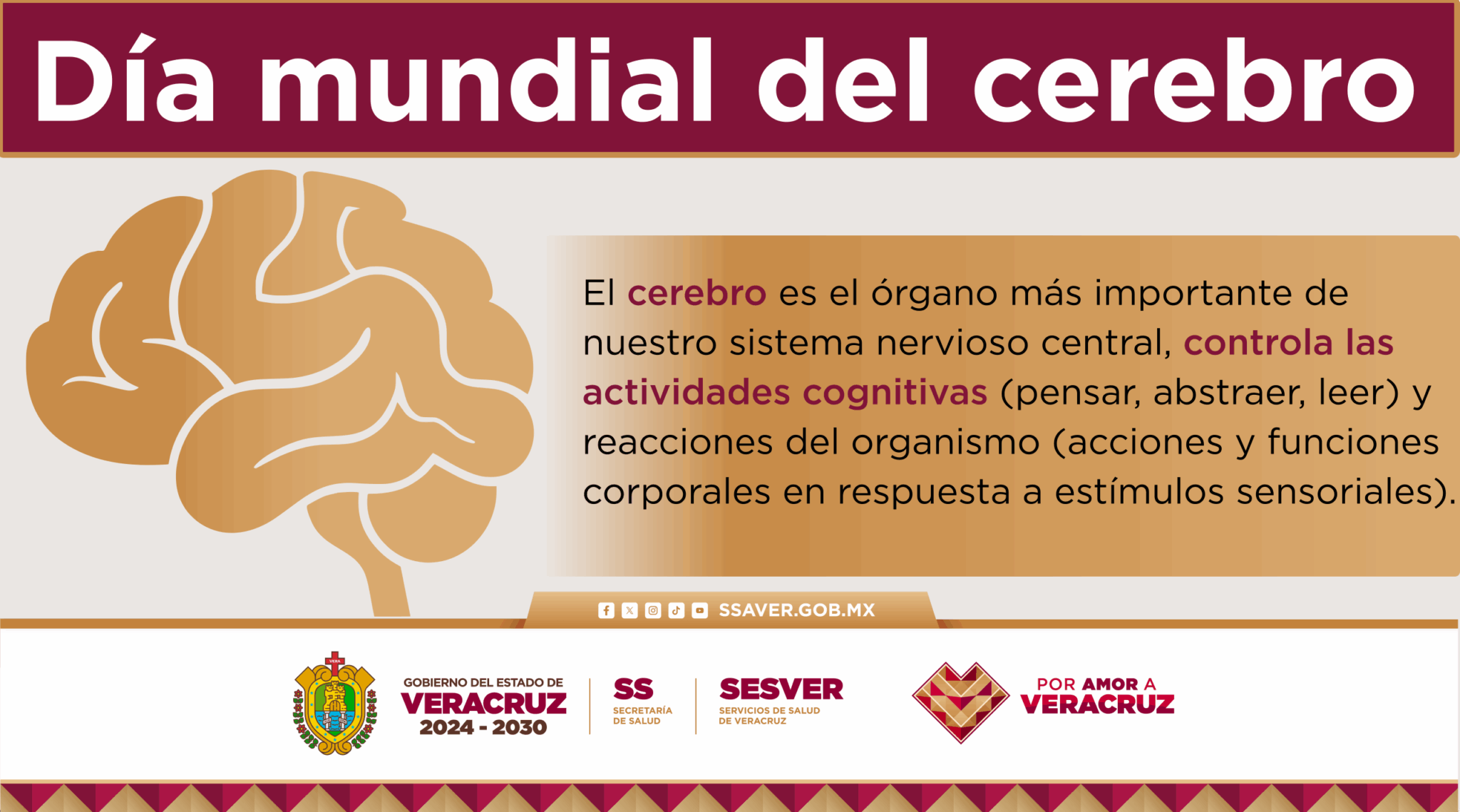 Día Mundial del Cerebro – Secretaría de Salud de Veracruz